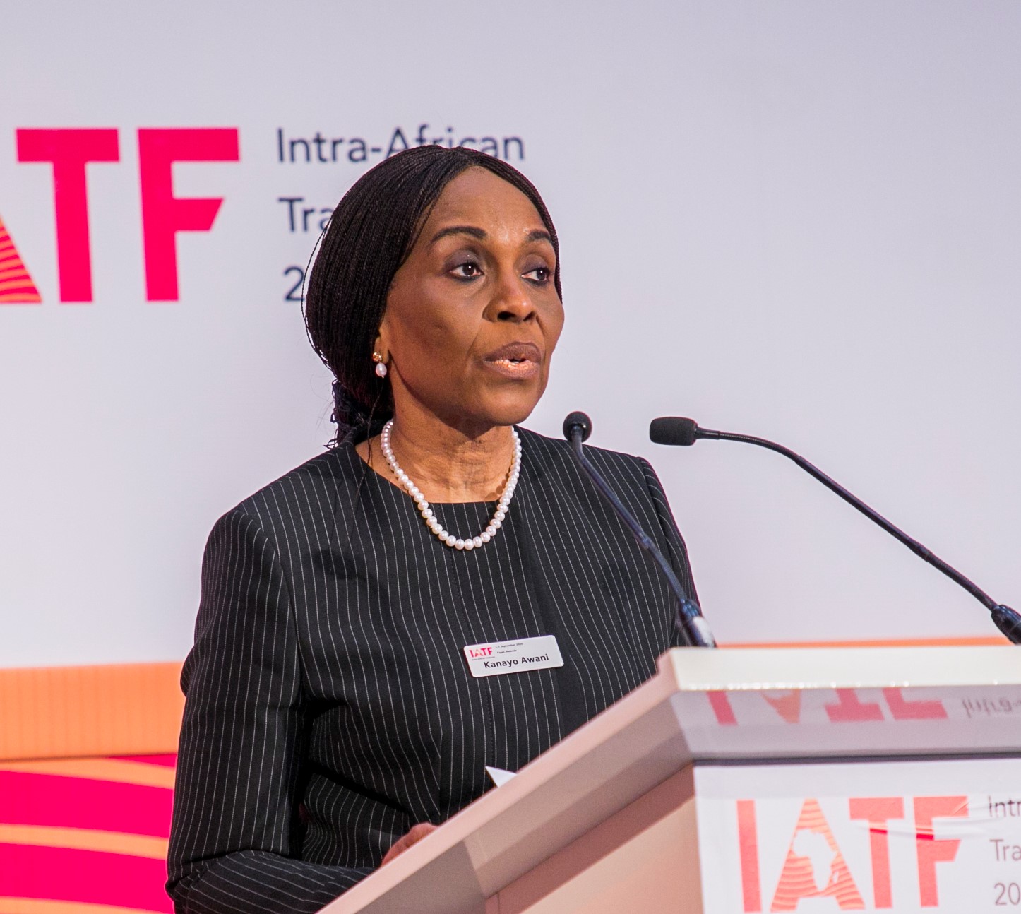 Afreximbank Board Appoints Kanayo Awani Executive Vice President, Intra ...