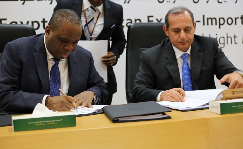 Afreximbank Grants $300 million to National Bank of Egypt to Support ...
