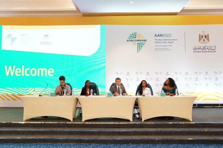 Successful young Brazilian and African entrepreneurs spotlighted at ...